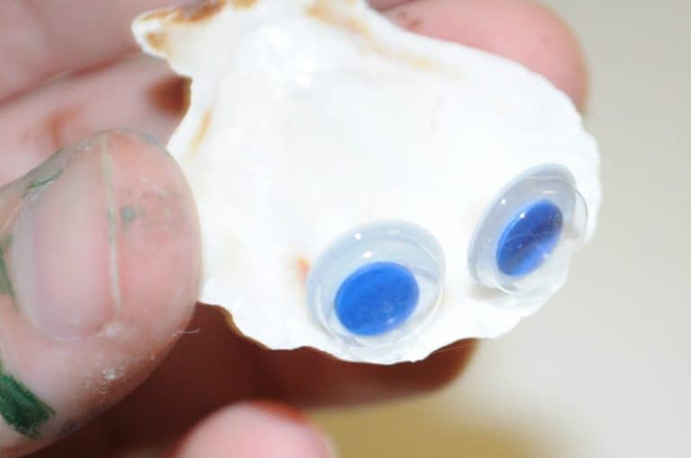 Easy Seashell Craft For Kids