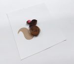 Easy Quilled Squirrel Craft