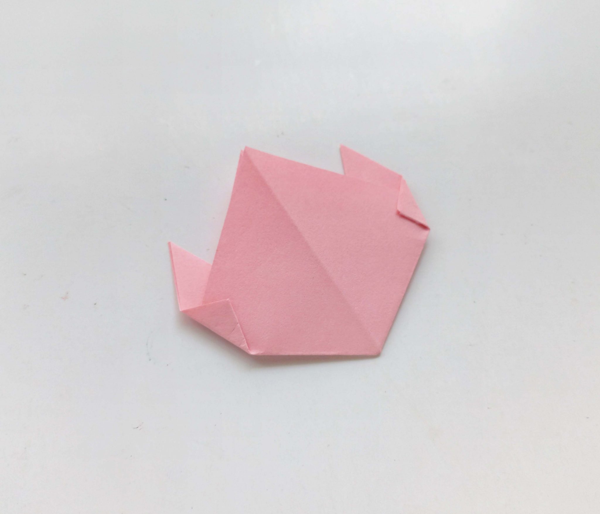 Tulip Origami Flower Craft