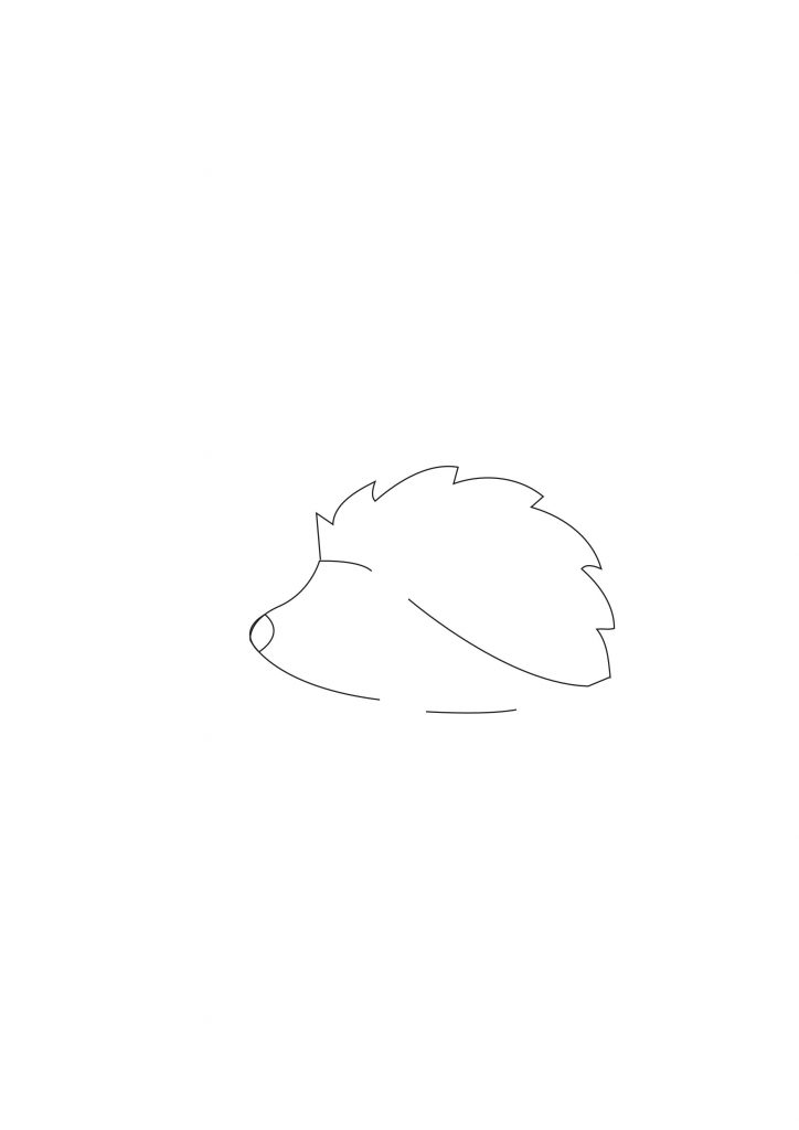 How to Draw an Easy Hedgehog Step by Step