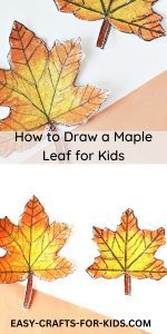 How to Draw a Maple Leaf - Maple Leaf Drawing Step by Step