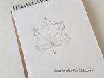 How to Draw a Maple Leaf - Maple Leaf Drawing Step by Step