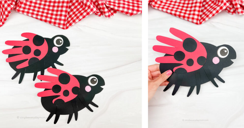 Ladybug Crafts for Preschoolers