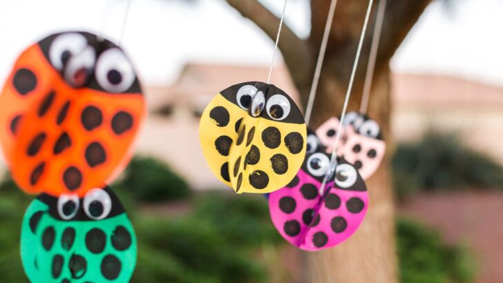 Ladybug Crafts for Preschoolers