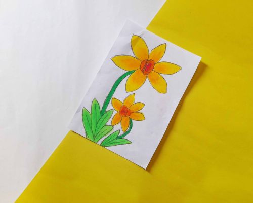 How to Draw Daffodils for Kids