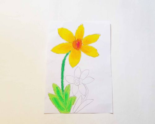 How to Draw Daffodils for Kids