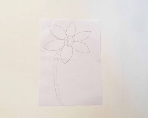 How to Draw Daffodils for Kids